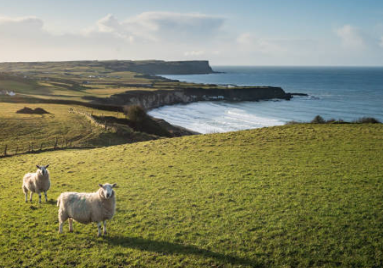 Easter and Springtime in Cornwall: What's on this March I 2024 | Select ...