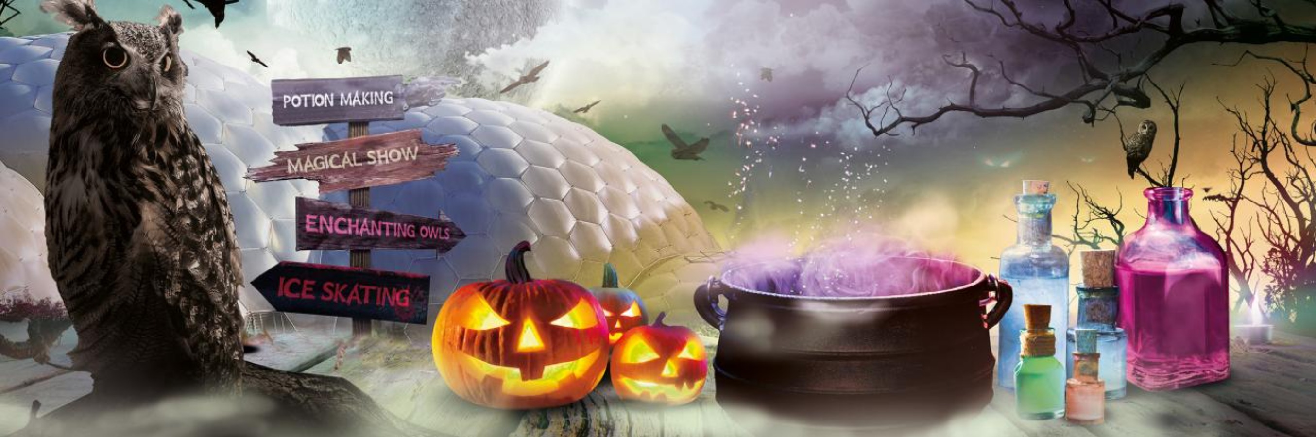 Appletree House Charlestown Poldark Eden Fowey Mev - Holiday House in ...