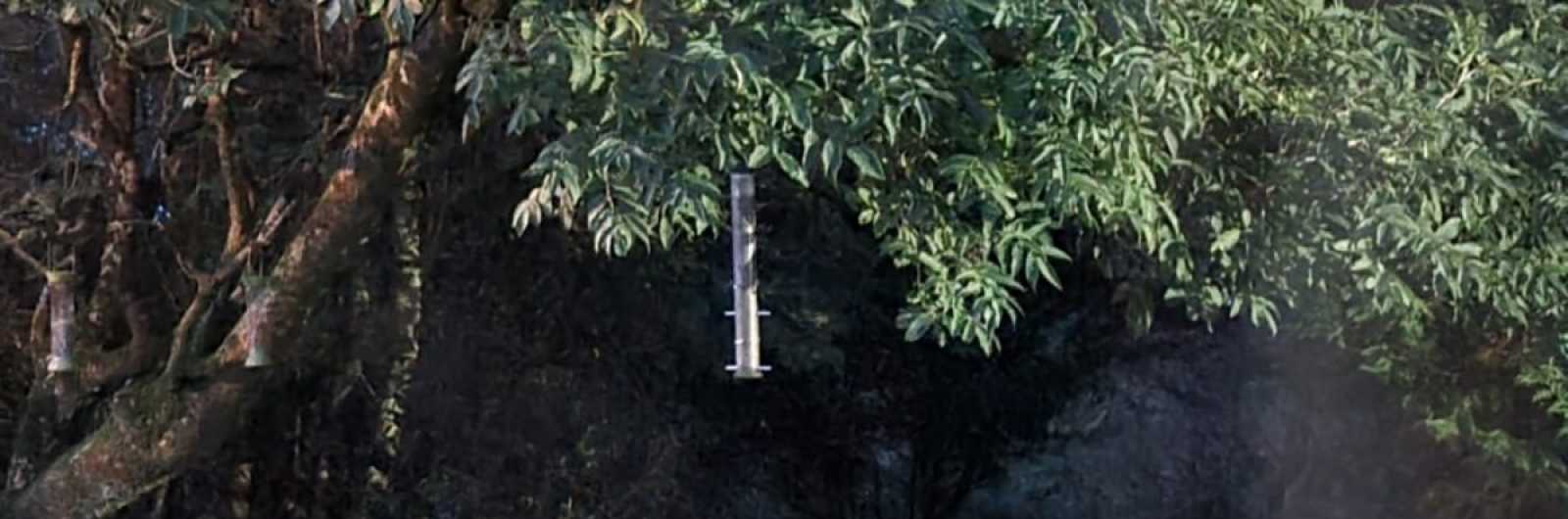 Badgers Holt - Holiday Cottage in Redruth | Select Cornwall